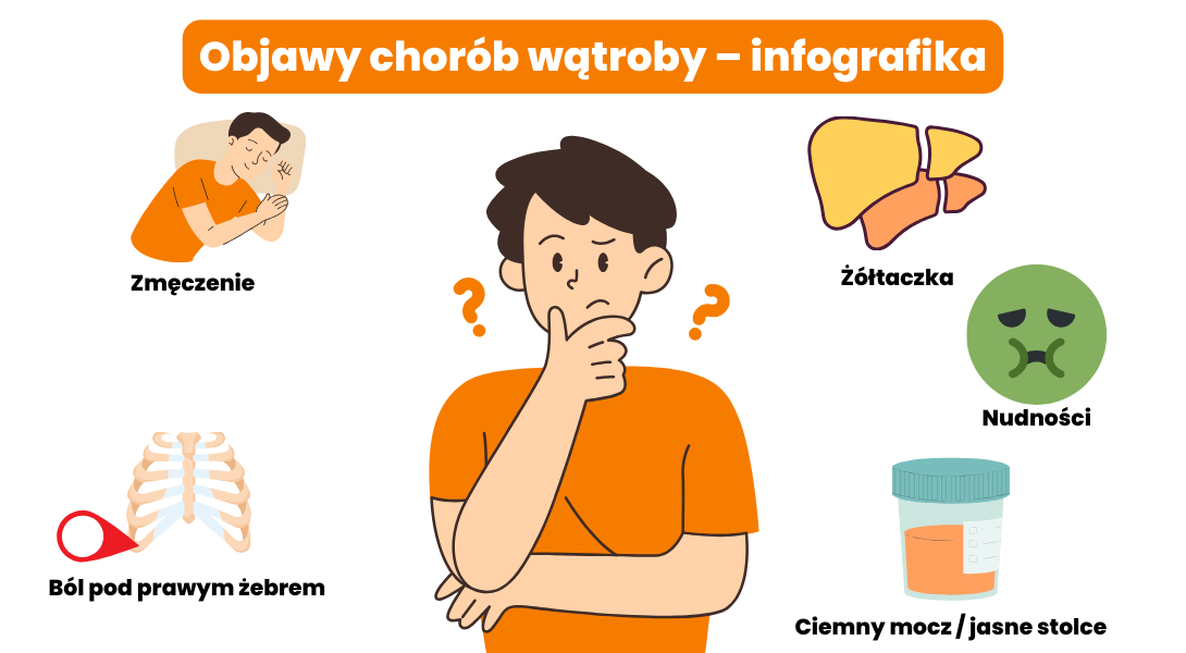 Próby wątrobowe normy | ASPAT, ALAT, GGPT jak interpretować?